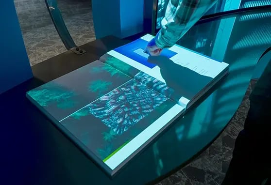 Projection | Electrosonic